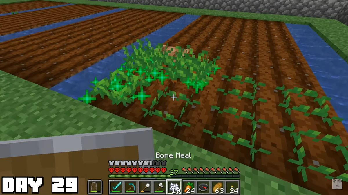 Day 29 (Hardcore Minecraft) | Luke TheNotable Wiki | Fandom