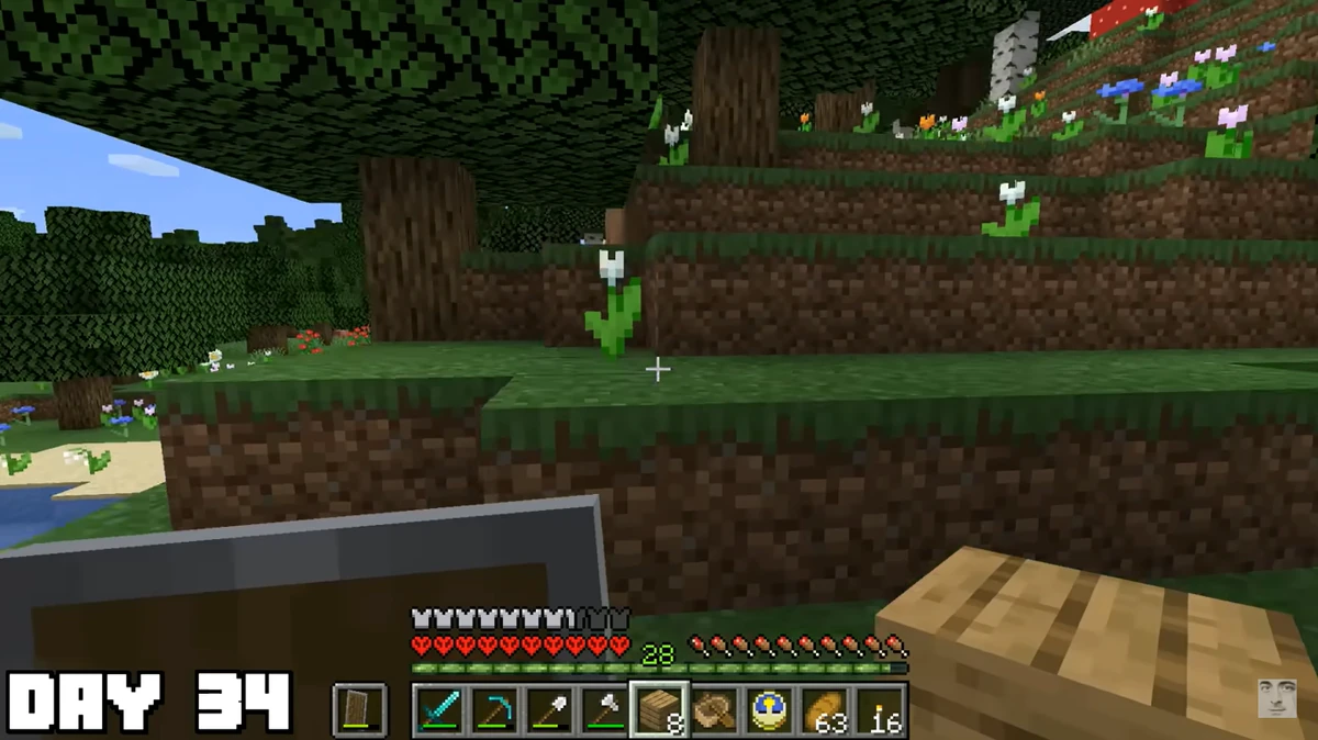 Day 34 (Hardcore Minecraft) | Luke TheNotable Wiki | Fandom