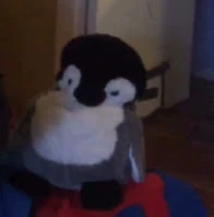 Panda man | Lukey Cinematic Universe Wiki | Fandom