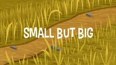 Small But Big | Nature Cat 2015 Wiki | Fandom