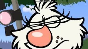 Lights Out For Sea Turtles | Nature Cat 2015 Wiki | Fandom