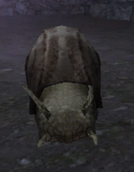 Snail Lunacid Wiki Fandom