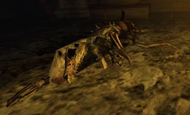 Infested Corpse | Lunacid Wiki | Fandom