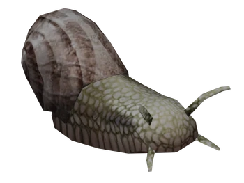 Snail Lunacid Wiki Fandom