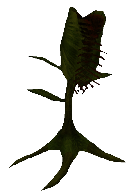 Venus | Lunacid Wiki | Fandom