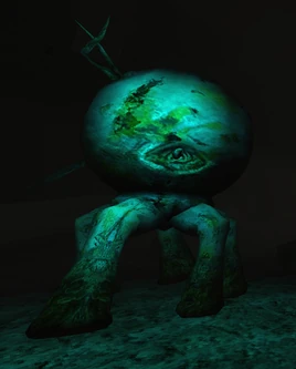 Cerritulus Lunam | Lunacid Wiki | Fandom