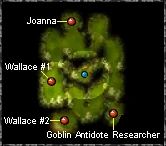 Recluse Forest | Lunia Wiki | Fandom