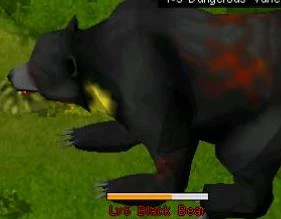 Black Bear | Lunia Wiki | Fandom