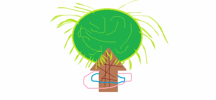 Swift Tree | Lunifer'sAnimalRp Wiki | Fandom