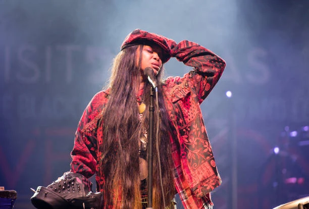 Erykah Badu | Lupe Fiasco Wiki | Fandom