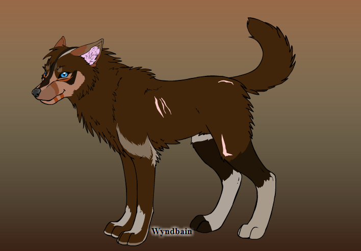 Nico | Wolf Wiki | Fandom