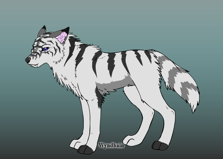 Caligo | Wolf Wiki | Fandom