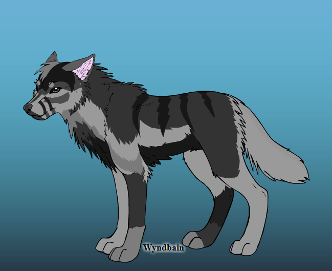 Boone | Wolf Wiki | Fandom