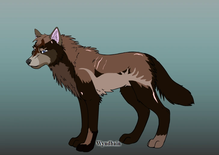 Wyatt | Wolf Wiki | Fandom