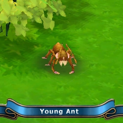 Young Ant | Luvinia Wiki | Fandom