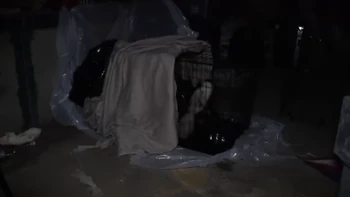 Wormy | Life of luxury Wiki | Fandom