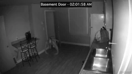 "Siamese" Humans | Life of luxury Wiki | Fandom