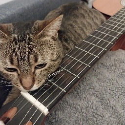 Neuro | Lyof's Code Constellation Wiki | Fandom