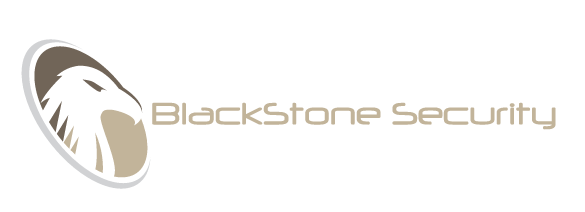 BlackStone Security | Lysarian Universe Project Wiki | Fandom