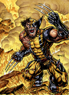 Wolverine | Marvel Wiki | Fandom