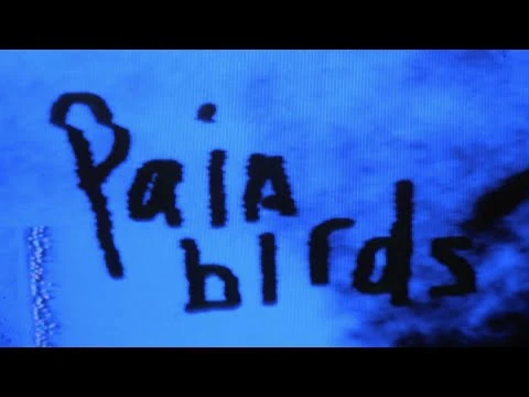 Painbirds | Music Video Wiki | Fandom