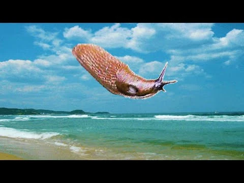 Slug Song | Music Video Wiki | Fandom