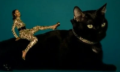 Kitty Kat | Music Video Wiki | Fandom