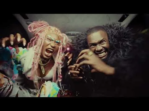 Beast (Sheck Wes) | Music Video Wiki | Fandom