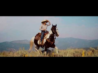 Meet Me Tonight | Music Video Wiki | Fandom