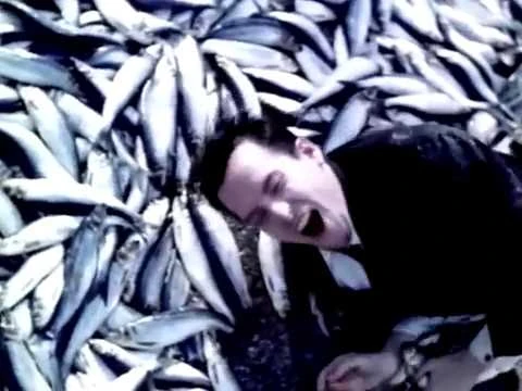 Jurassitol | Music Video Wiki | Fandom