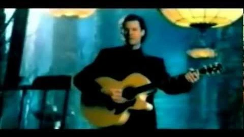The Hole (Randy Travis) | Music Video Wiki | Fandom