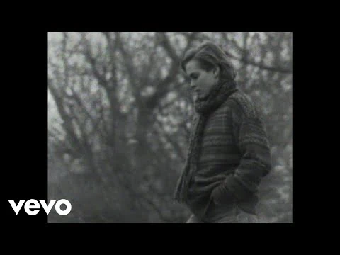 Sometimes She Cries Music Video Wiki Fandom