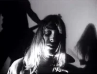 In Bloom | Music Video Wiki | Fandom