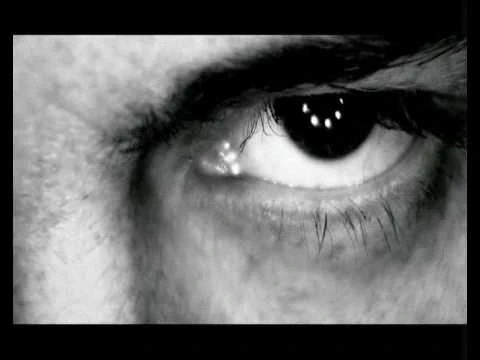 Monday Morning Apocalypse | Music Video Wiki | Fandom