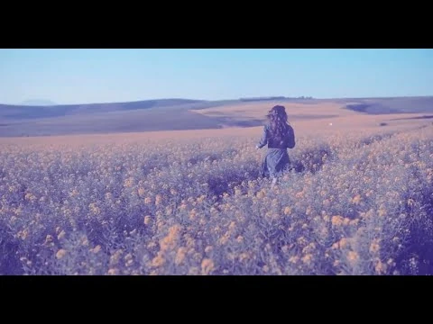 Slow Me Down | Music Video Wiki | Fandom