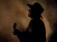 Seminole Wind | Music Video Wiki | Fandom
