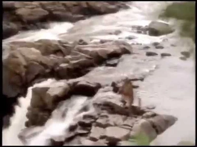 Oochigeas (Indian Song) | Music Video Wiki | Fandom