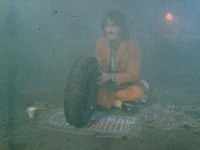 Blue Jay Way | Music Video Wiki | Fandom