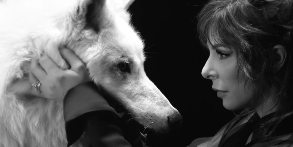 Des larmes | Music Video Wiki | Fandom