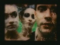 Crash into Me (Dave Matthews Band) | Music Video Wiki | Fandom