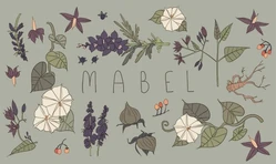 Plot Summary | Mabel Podcast Wiki | Fandom