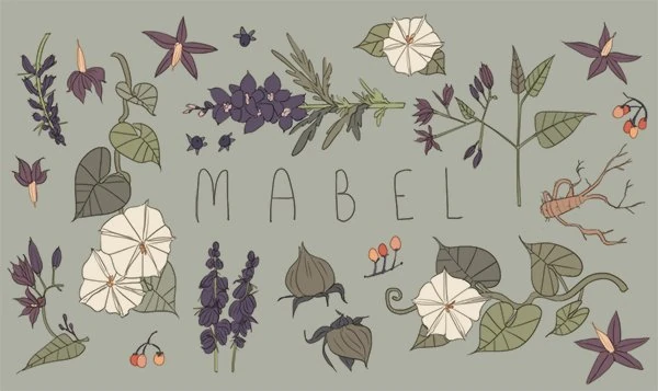 Plot Summary | Mabel Podcast Wiki | Fandom