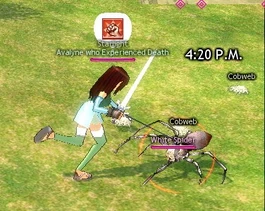 Smash | Mabinogi Wiki | Fandom