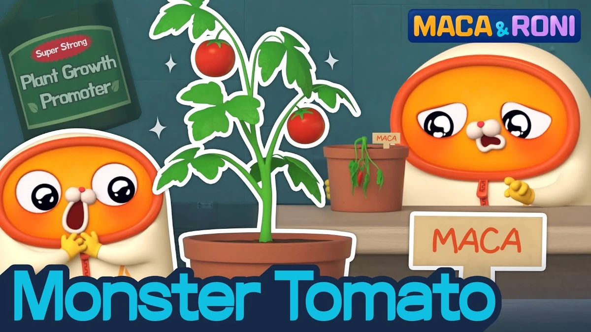 Tomato Monster | Maca & Roni Wiki | Fandom