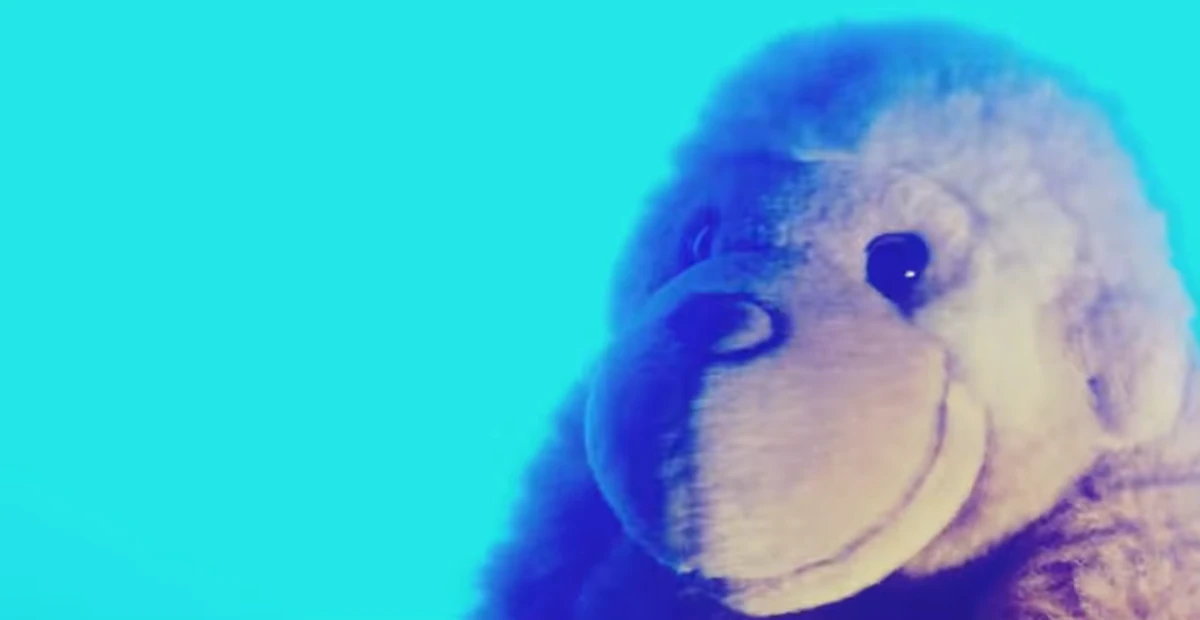 Júlio Roberto | Macaco do Sistema Wiki | Fandom