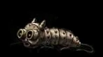 Cat (Inventory) | Machinarium Wiki | Fandom