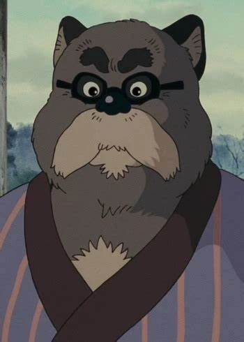 Poko | Macropod Madness Wiki | Fandom