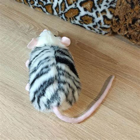 Striped Rat | Macropod Madness Wiki | Fandom