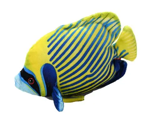 Angel Fish | Macropod Madness Wiki | Fandom