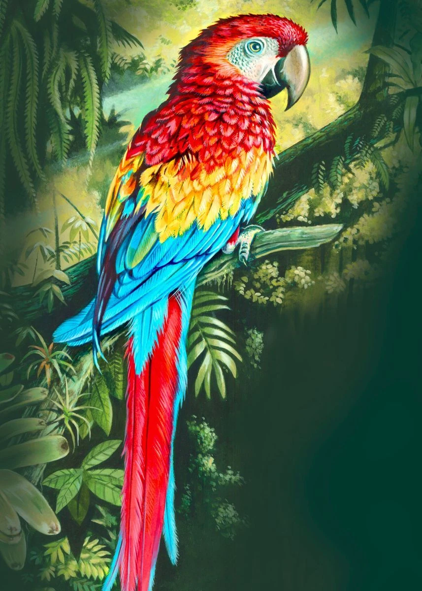 Squawk | Macropod Madness Wiki | Fandom